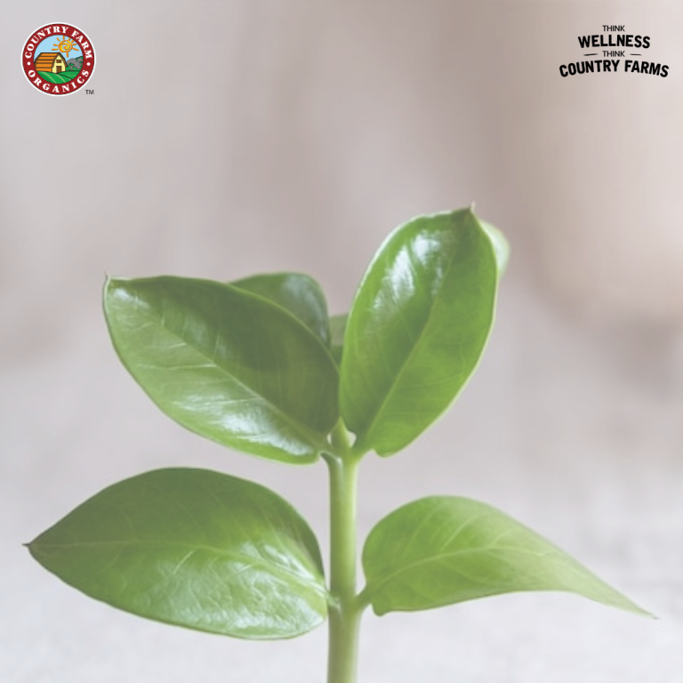 What Makes a Product Truly Organic? - Country Farm Organics