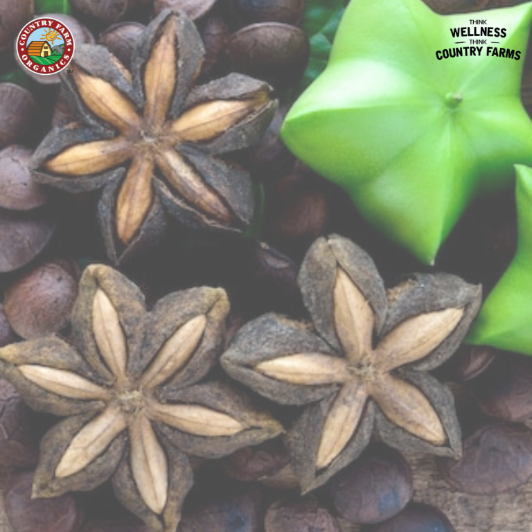 Sacha Inchi Oil: A Superfood for Your Health and Wellness - Country ...